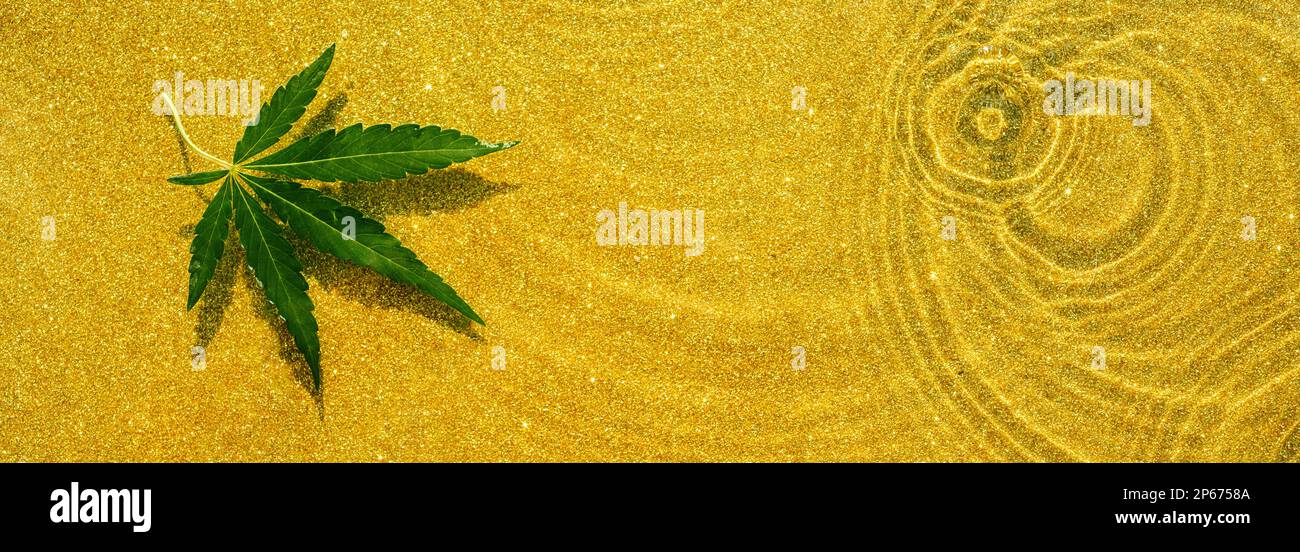 Leaf of marijuana, cannabis on a yellow shiny transparent surface with ...