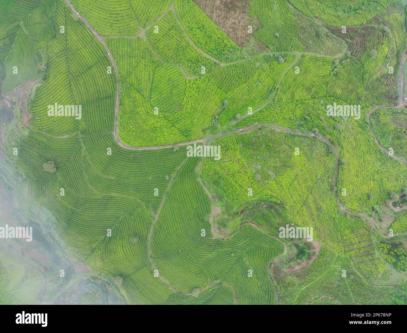 Aerial morning tea hi-res stock photography and images - Alamy