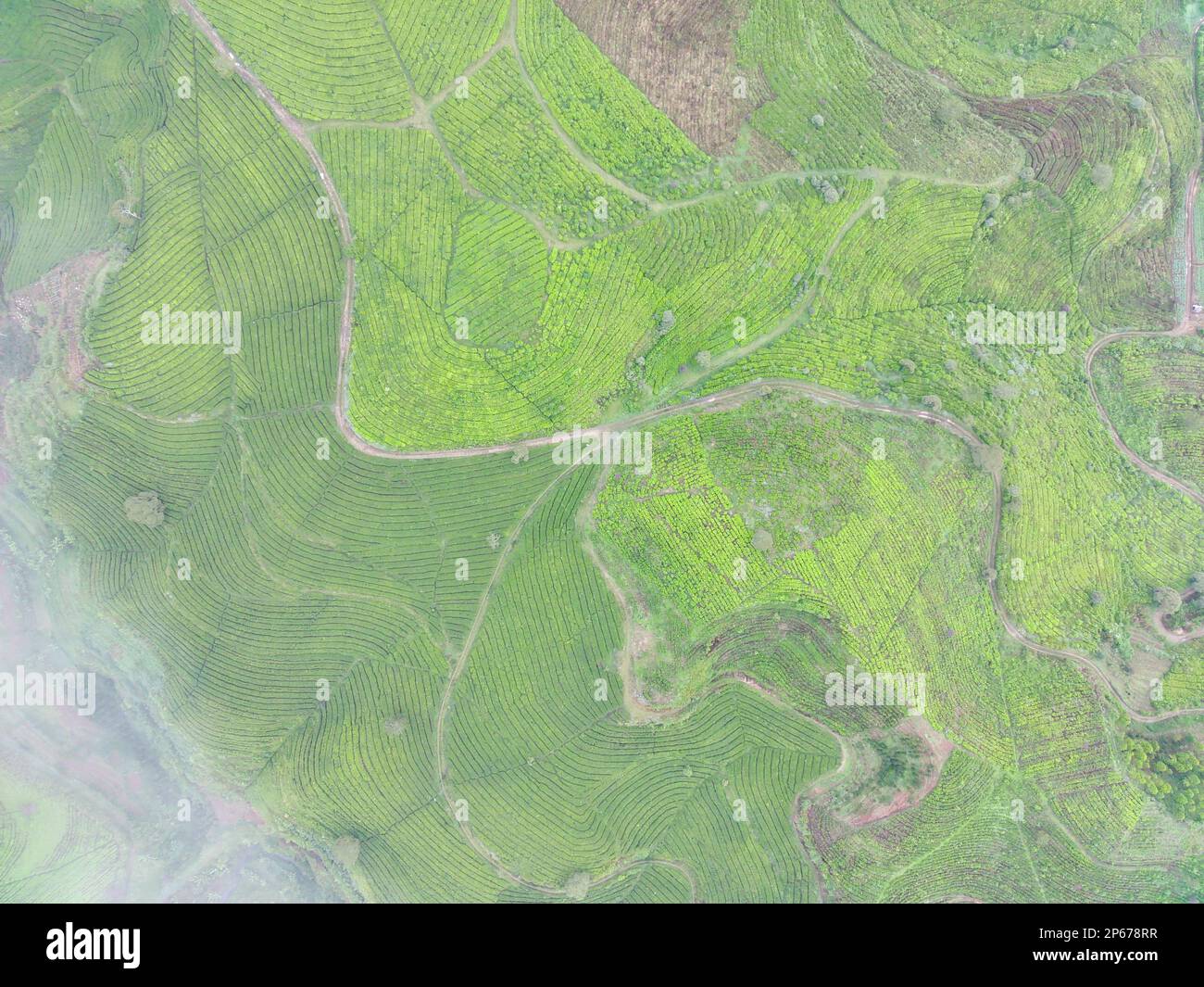 Aerial morning tea hi-res stock photography and images - Alamy