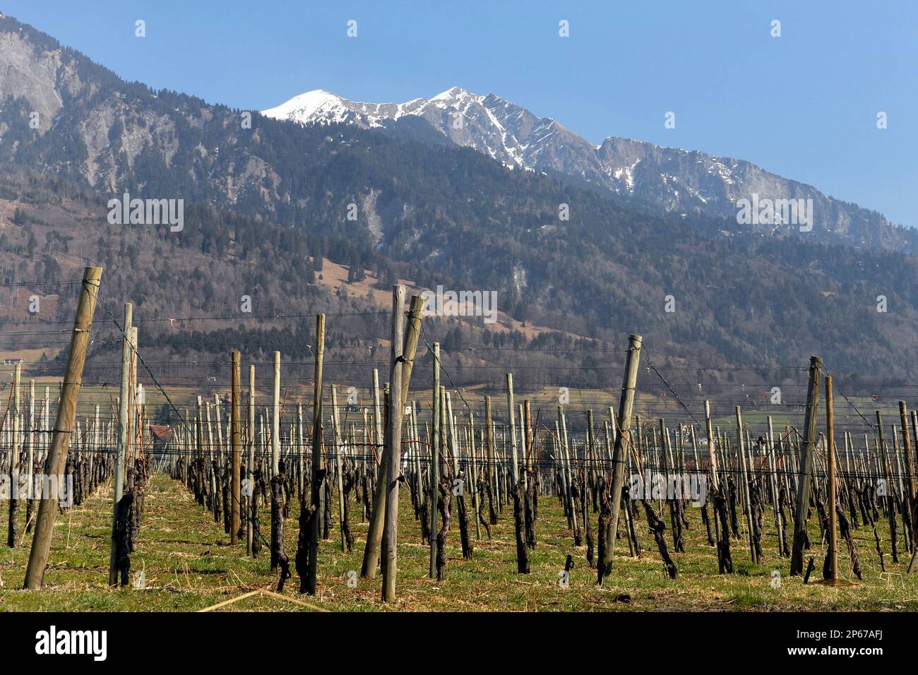 Maienfeld hi-res stock photography and images - Alamy