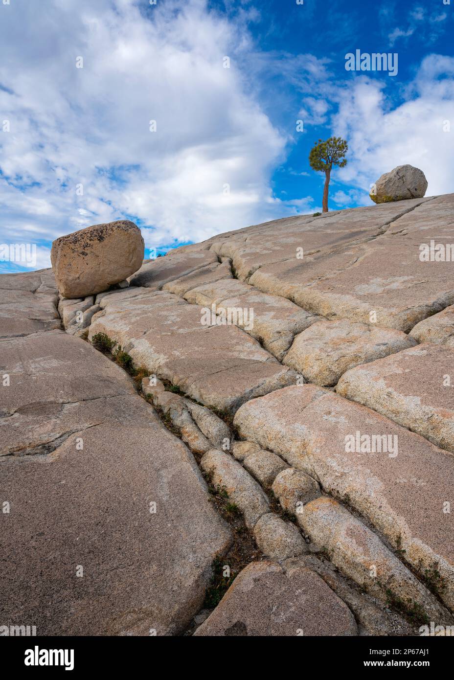 Tree and rocks, Olmsted Point, Yosemite National Park, UNESCO World ...