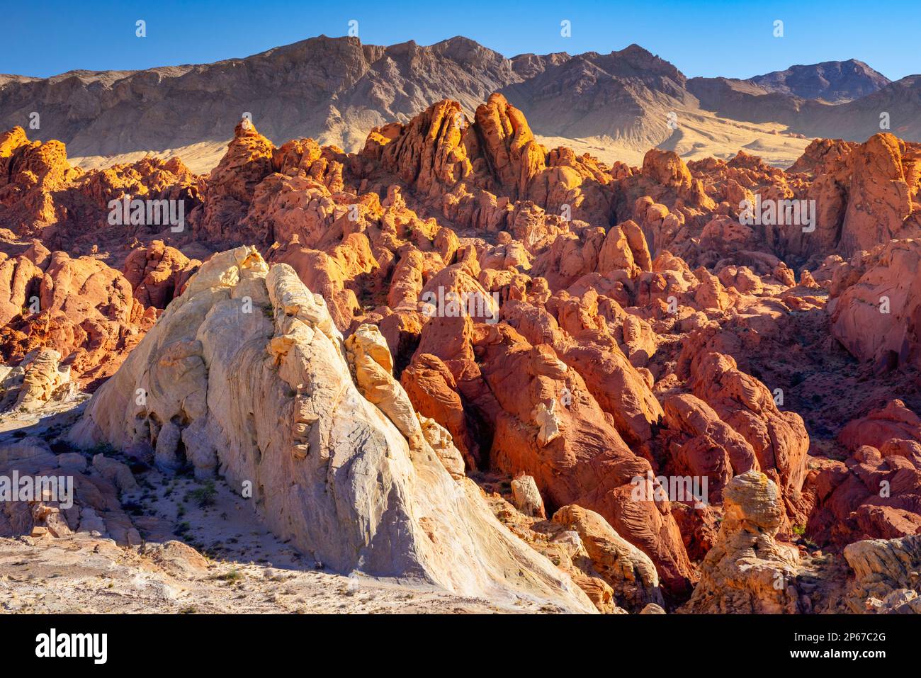 Fire Canyon and Silica Dome, Valley of Fire State Park, Nevada, Western ...