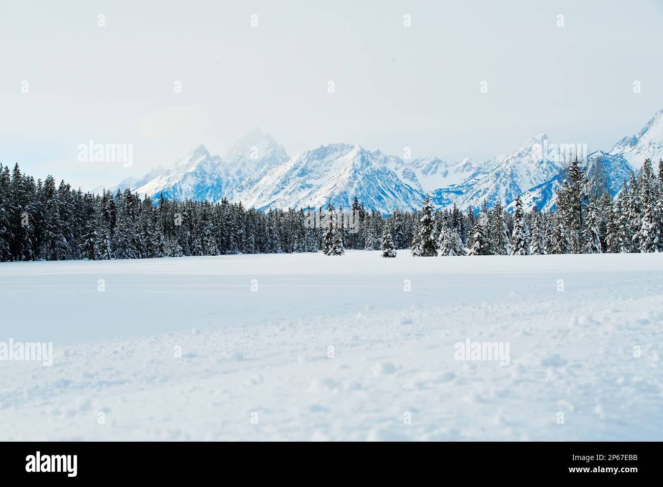 Snow covered view of the Teton Mountain Range, Grand Teton National ...