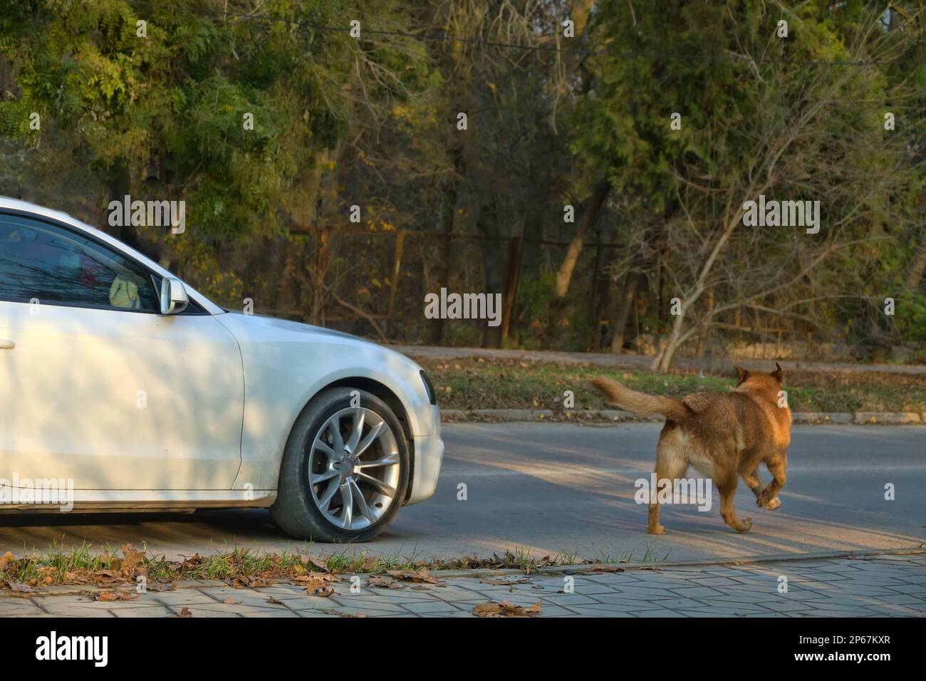 Angry cars hi-res stock photography and images - Alamy