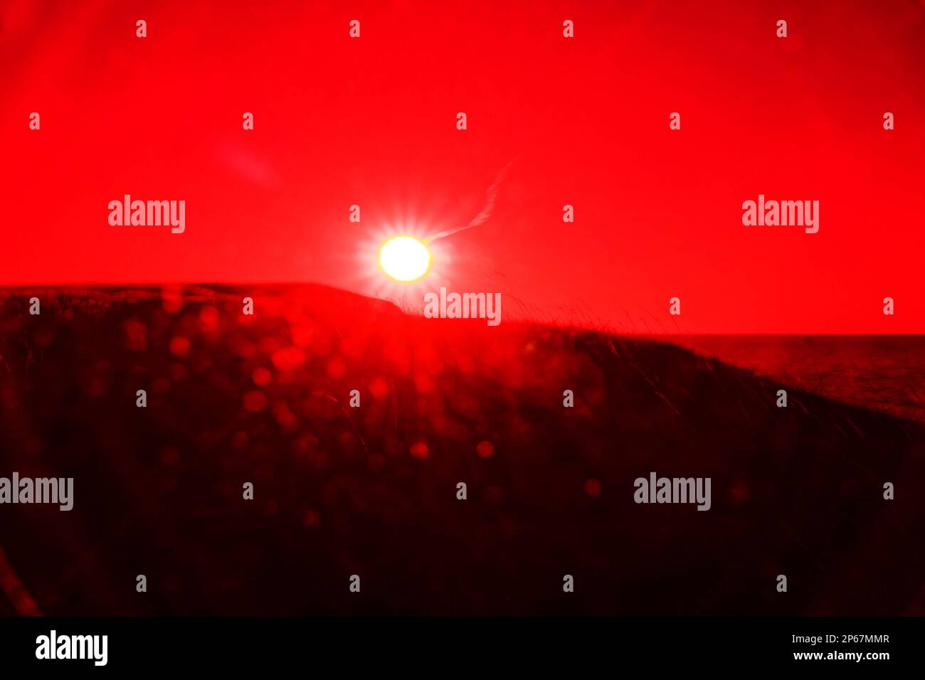 Surrealistic art infrared photo hi-res stock photography and images - Alamy