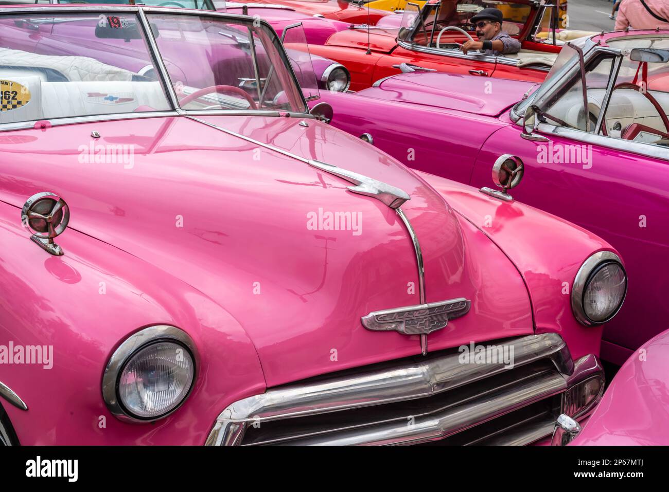 A convention of pink Chevrolet classic cars, Havana, Cuba, West Indies ...