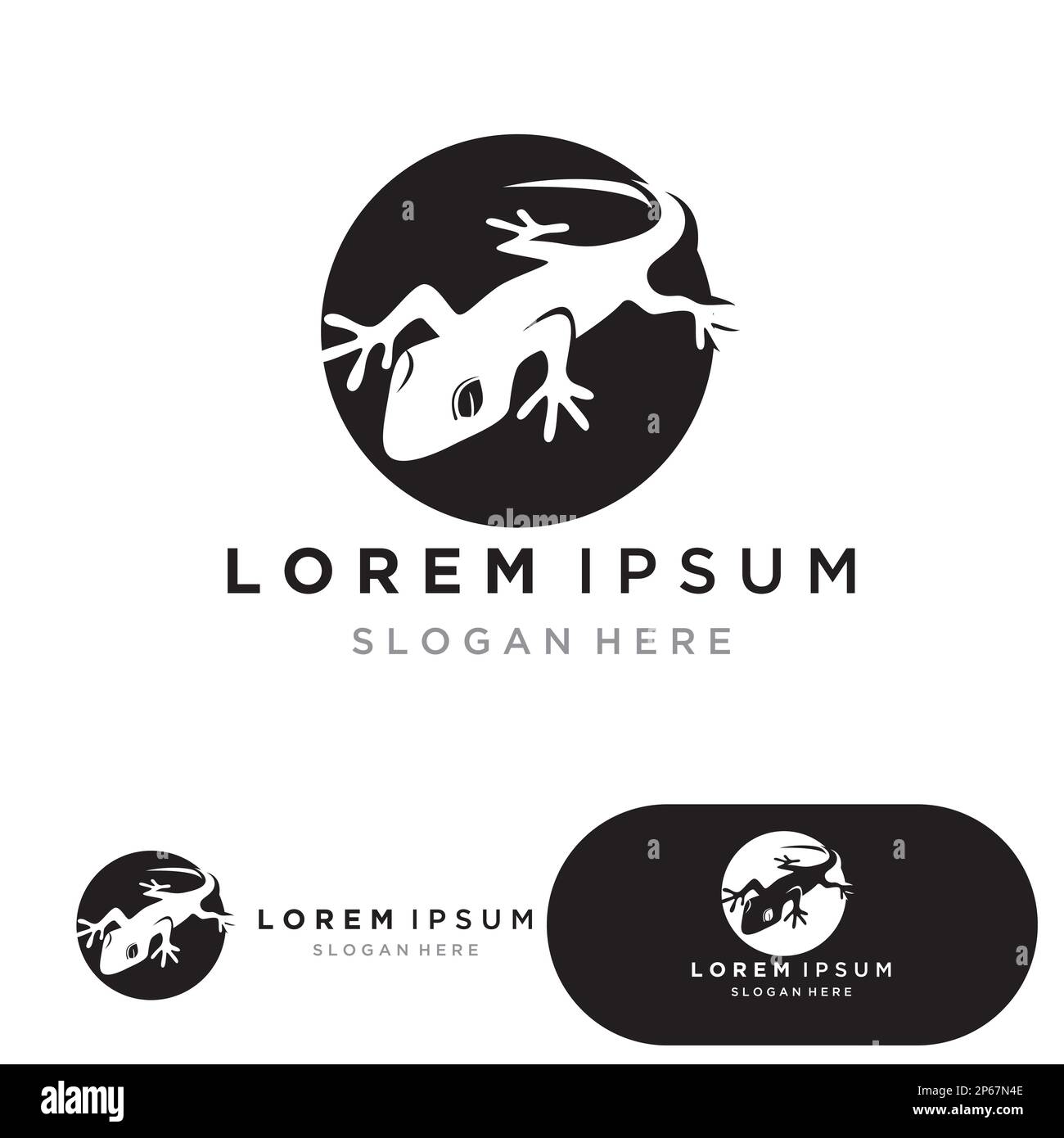 Home lizard Stock Vector Images - Alamy