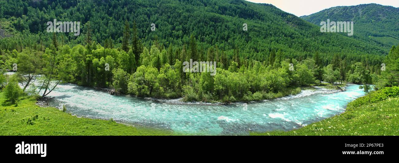 Potamology hi-res stock photography and images - Alamy