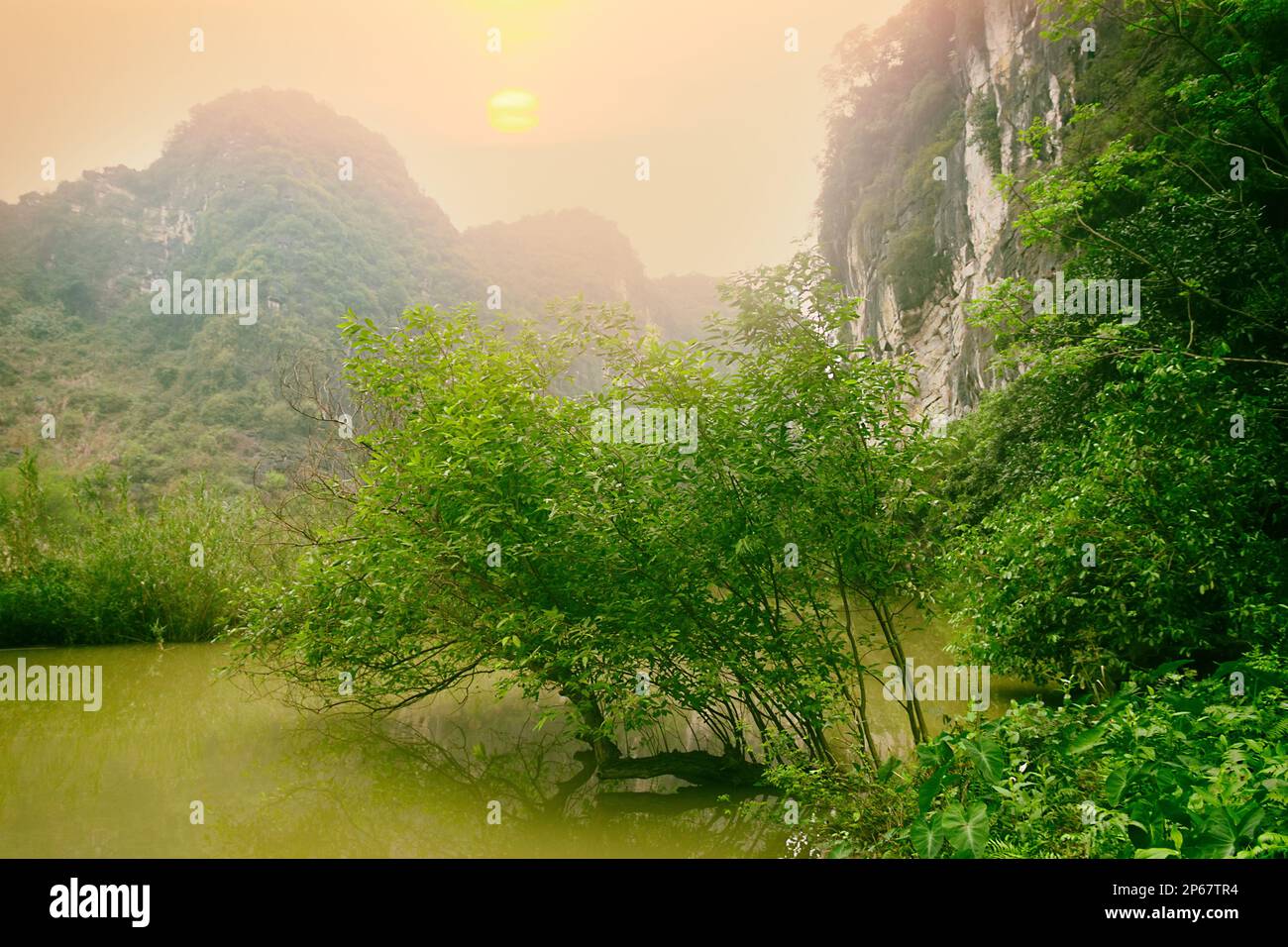 Vietnamese tropical nature (tropical winter). Forests and rocky cliffs ...