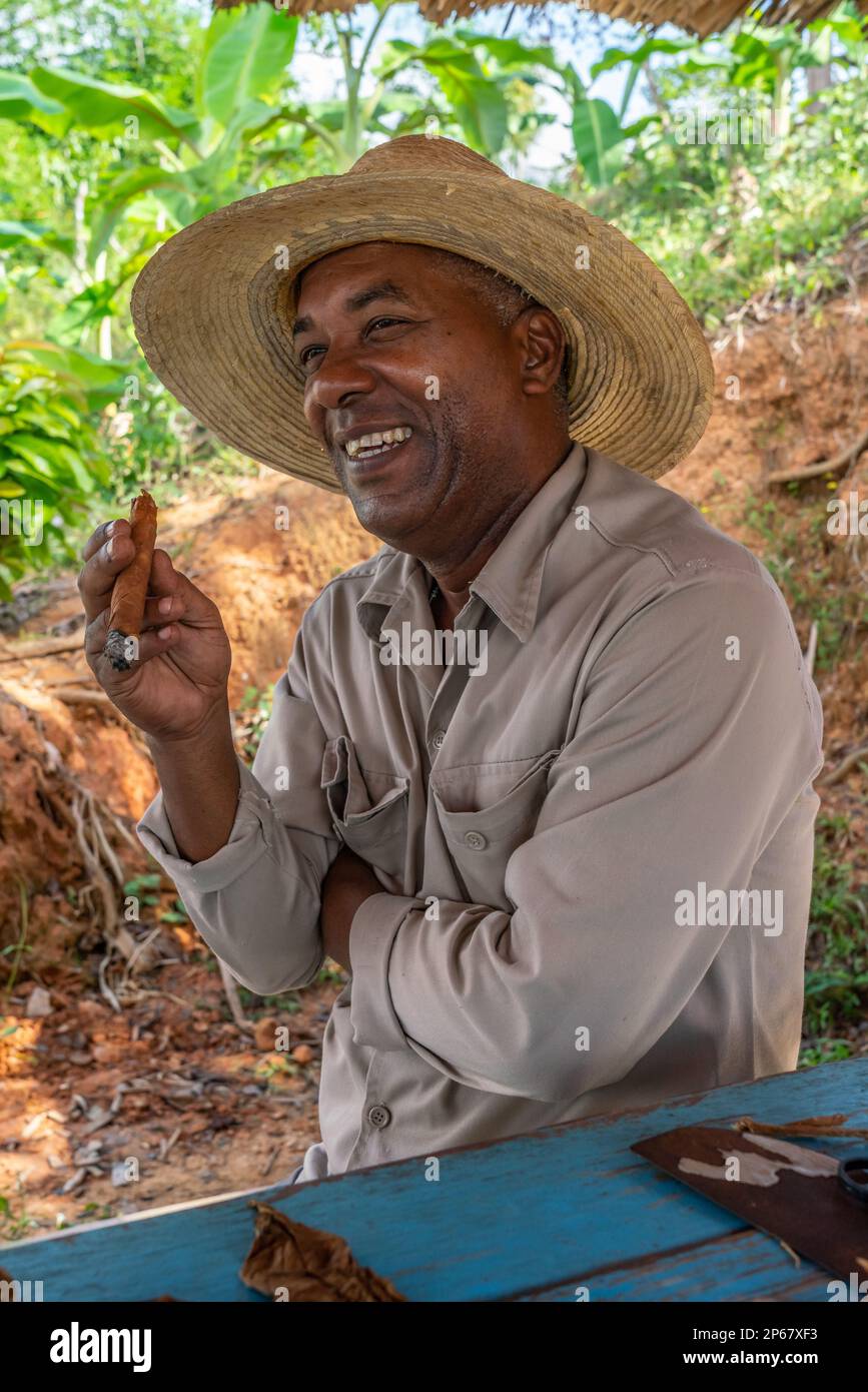 Tobacco plantation worker in straw hat, savouring cigar he just made ...