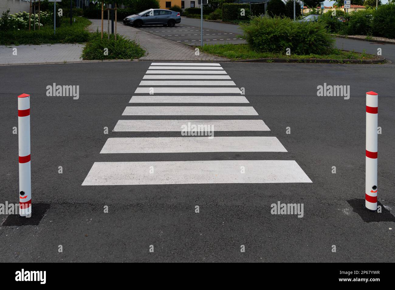 White pedestrian crosswalk across the road with asphalt pavement. Two ...