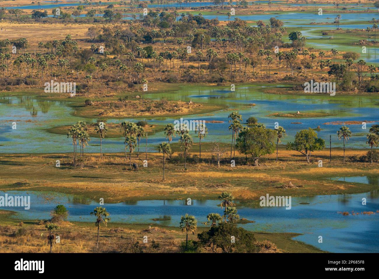 Aerial view of the Okavango Delta, UNESCO World Heritage Site, Botswana ...