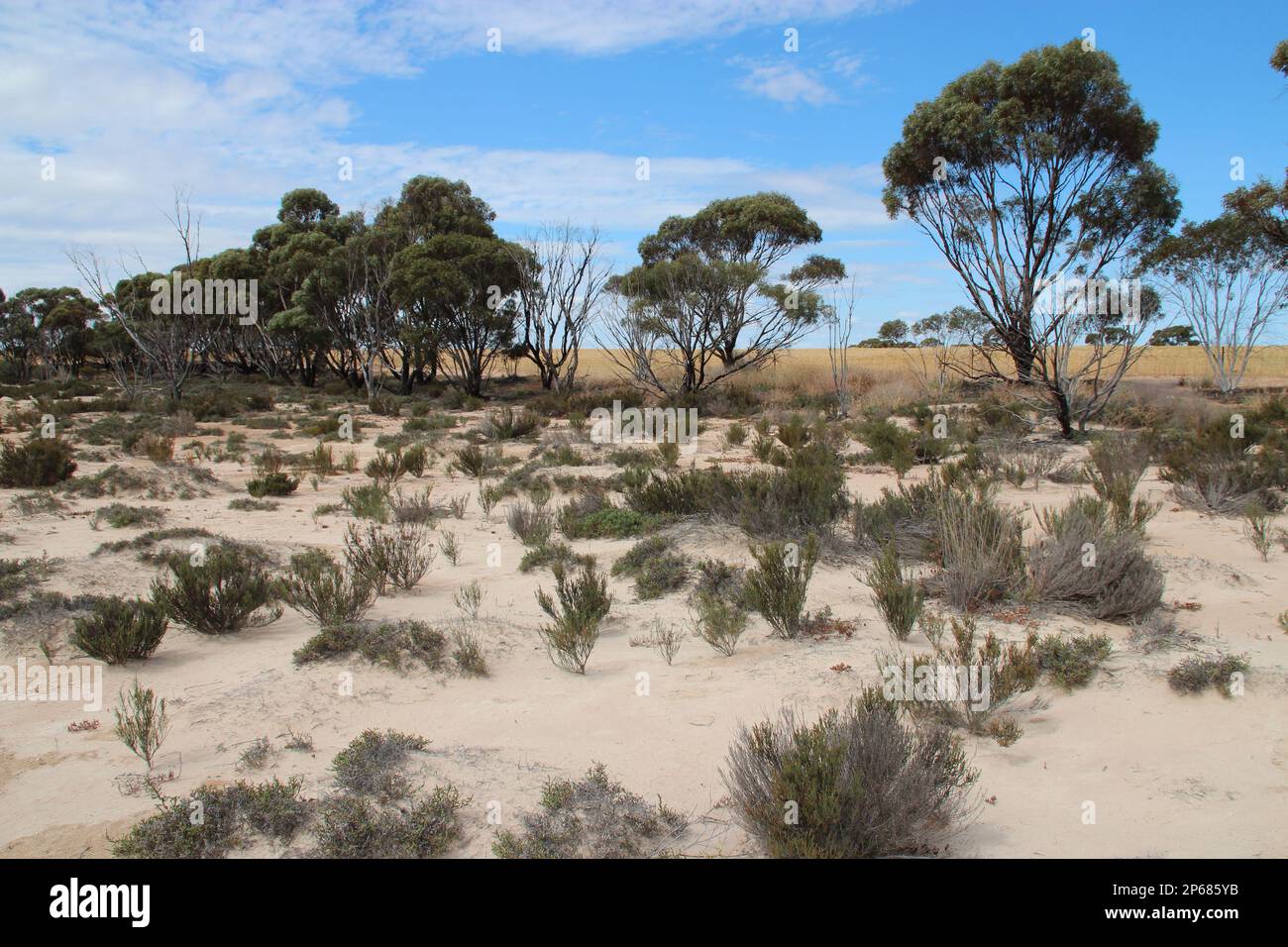 countryside in australia Stock Photo - Alamy