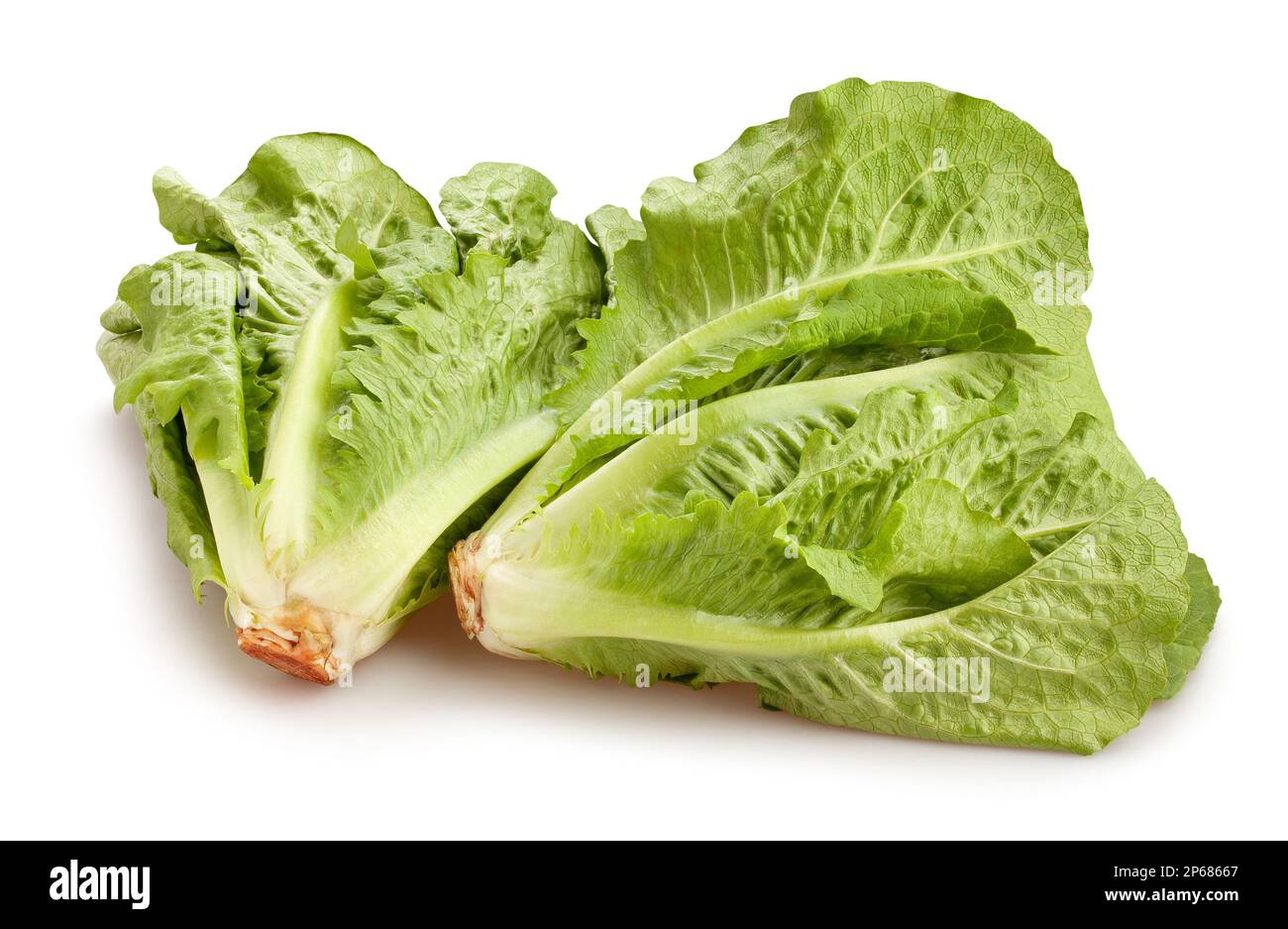 Raw fresh romaine lettuce Cut Out Stock Images & Pictures - Alamy