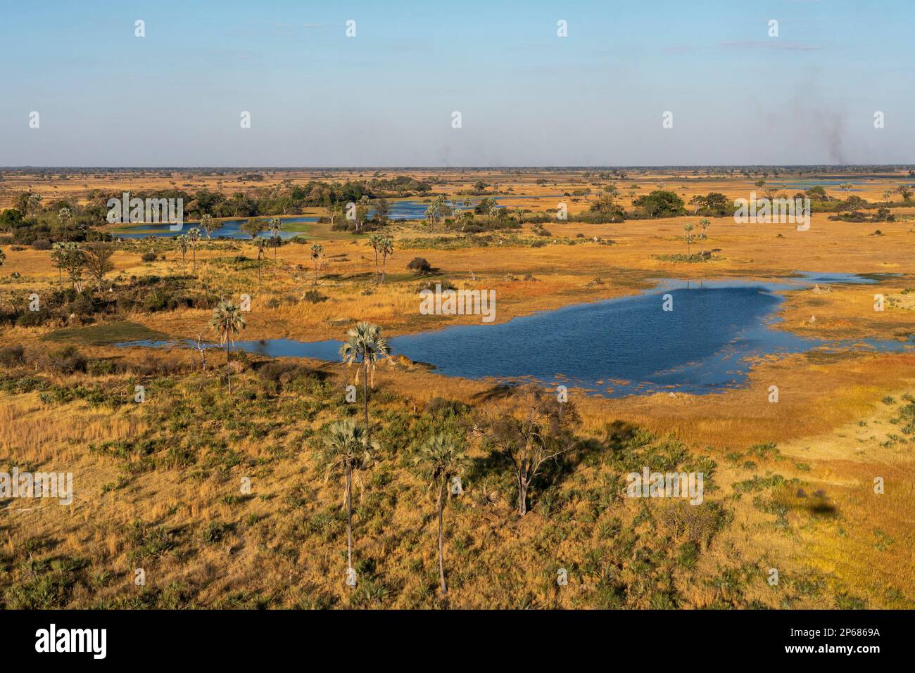 Aerial view of the Okavango Delta, UNESCO World Heritage Site, Botswana ...