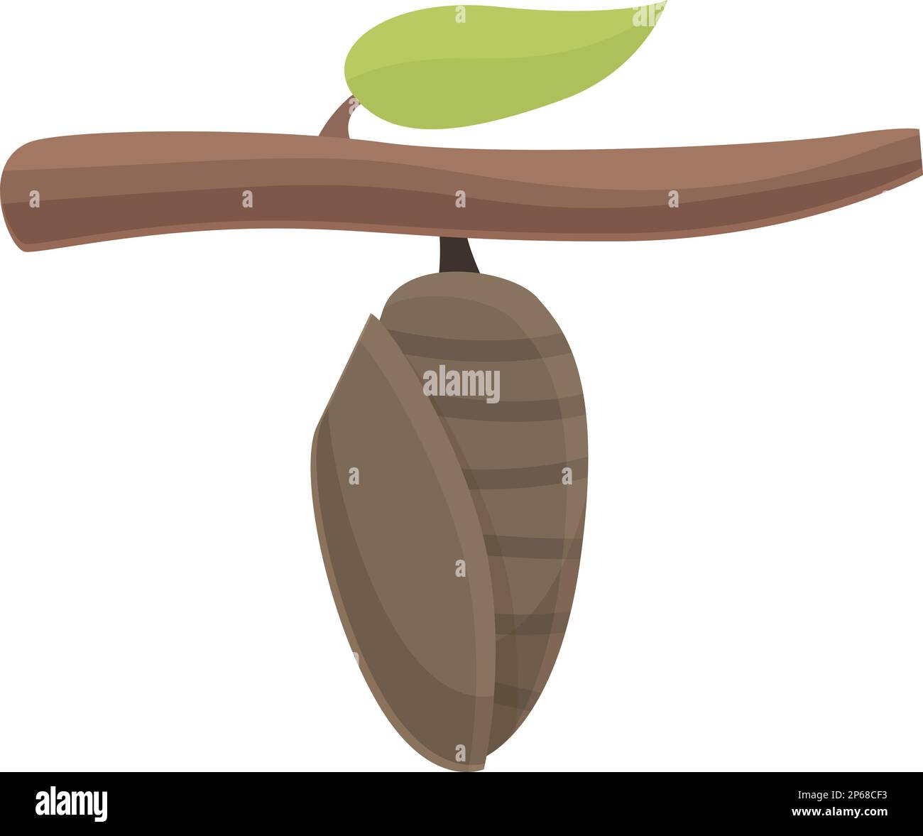 Natural cocoon icon cartoon vector. Nature leaf. Insect organic Stock ...