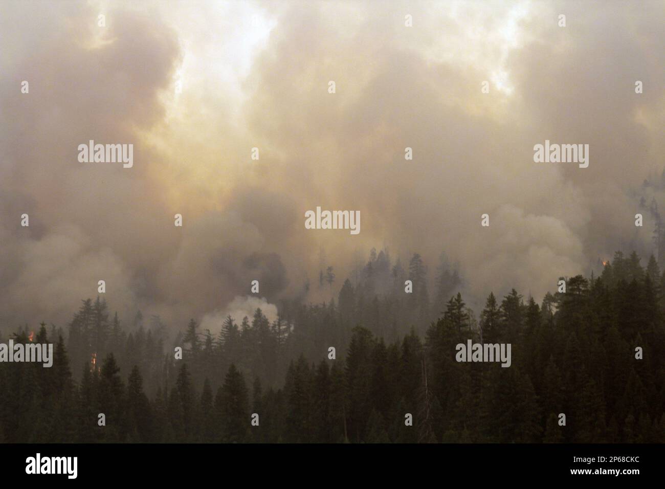 Fire within the smoke column of the Chips Fire moves toward the ...