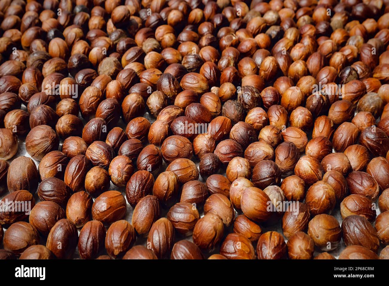 Nutmeg seeds laid out to dry, an aromatic spice and major crop, Ulu ...