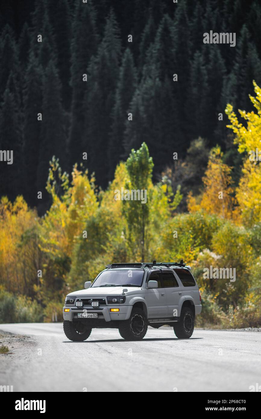 Off-road white car Toyota on autumn mountain forest Stock Photo - Alamy