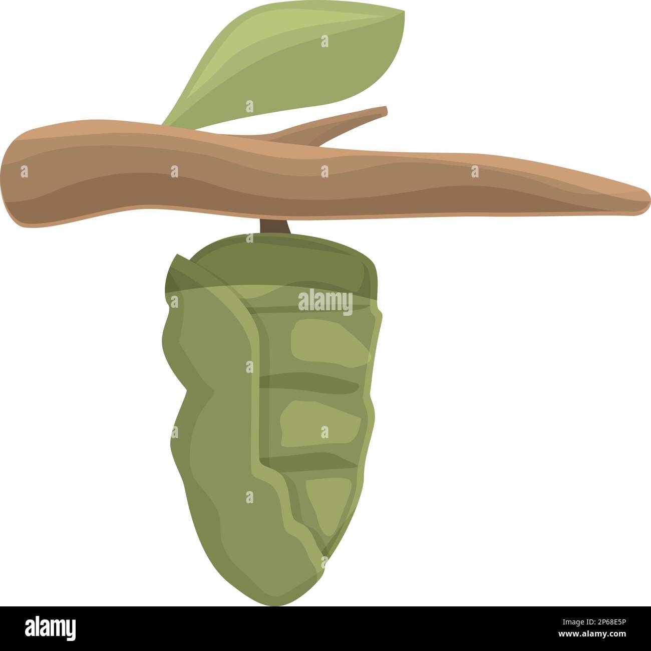 Nature cocoon icon cartoon vector. Natural leaf. Larva life Stock ...