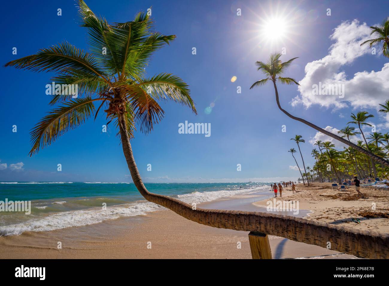 View of sea, beach and palm trees on a sunny day, Bavaro Beach, Punta ...