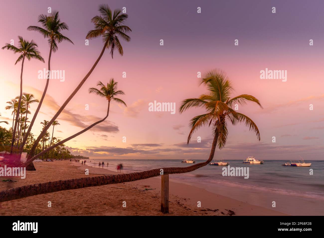 View of palm trees and sea at Bavaro Beach at sunset, Punta Cana ...