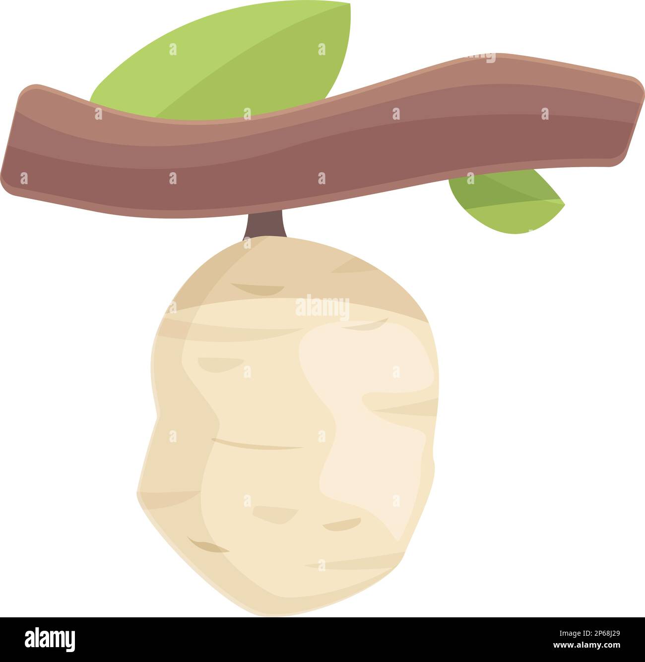 White cocoon icon cartoon vector. Nature larva. Life insect Stock ...