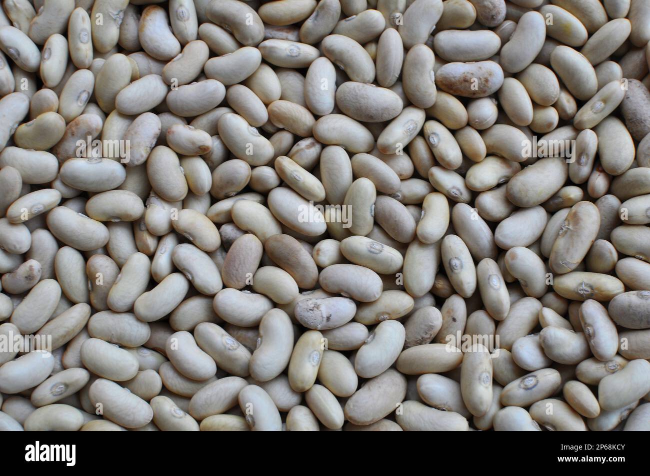 Background from a crop of dry beans Stock Photo - Alamy