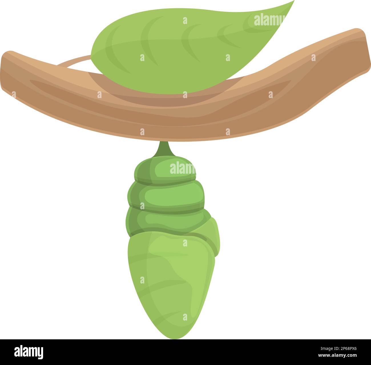 Tree cocoon icon cartoon vector. Natural silk. Leaf life Stock Vector ...