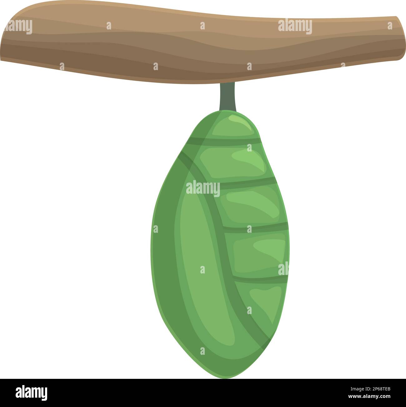 Branch cocoon icon cartoon vector. Natural leaf. Larva insect Stock ...
