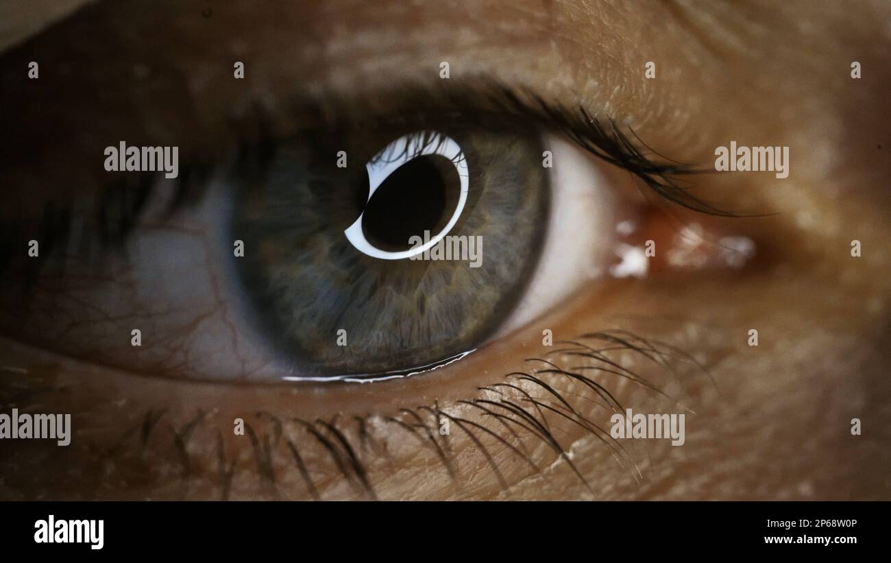 Green eye close-up with capillaries. The concept of ophthalmology and ...