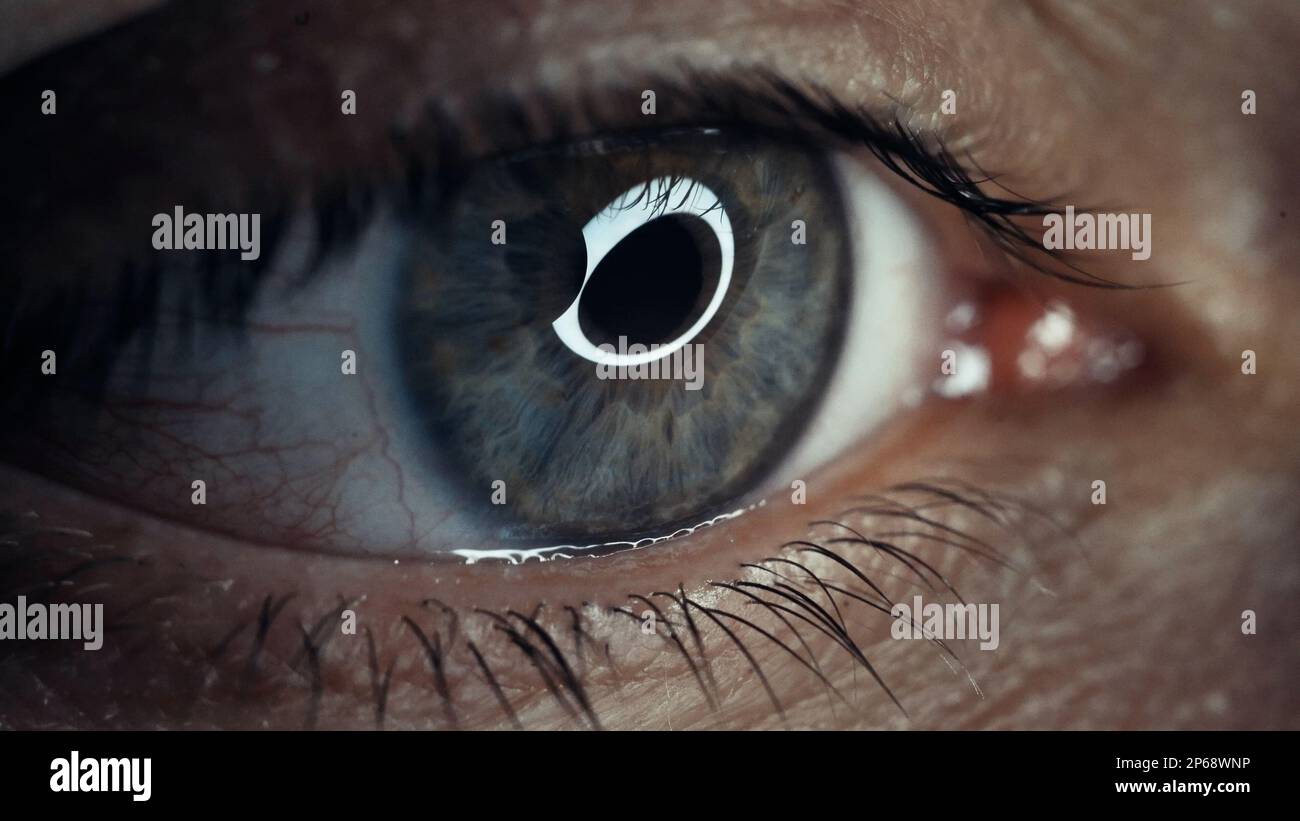 Green eye close-up with capillaries. The concept of ophthalmology and medicine. Extreme macro ...