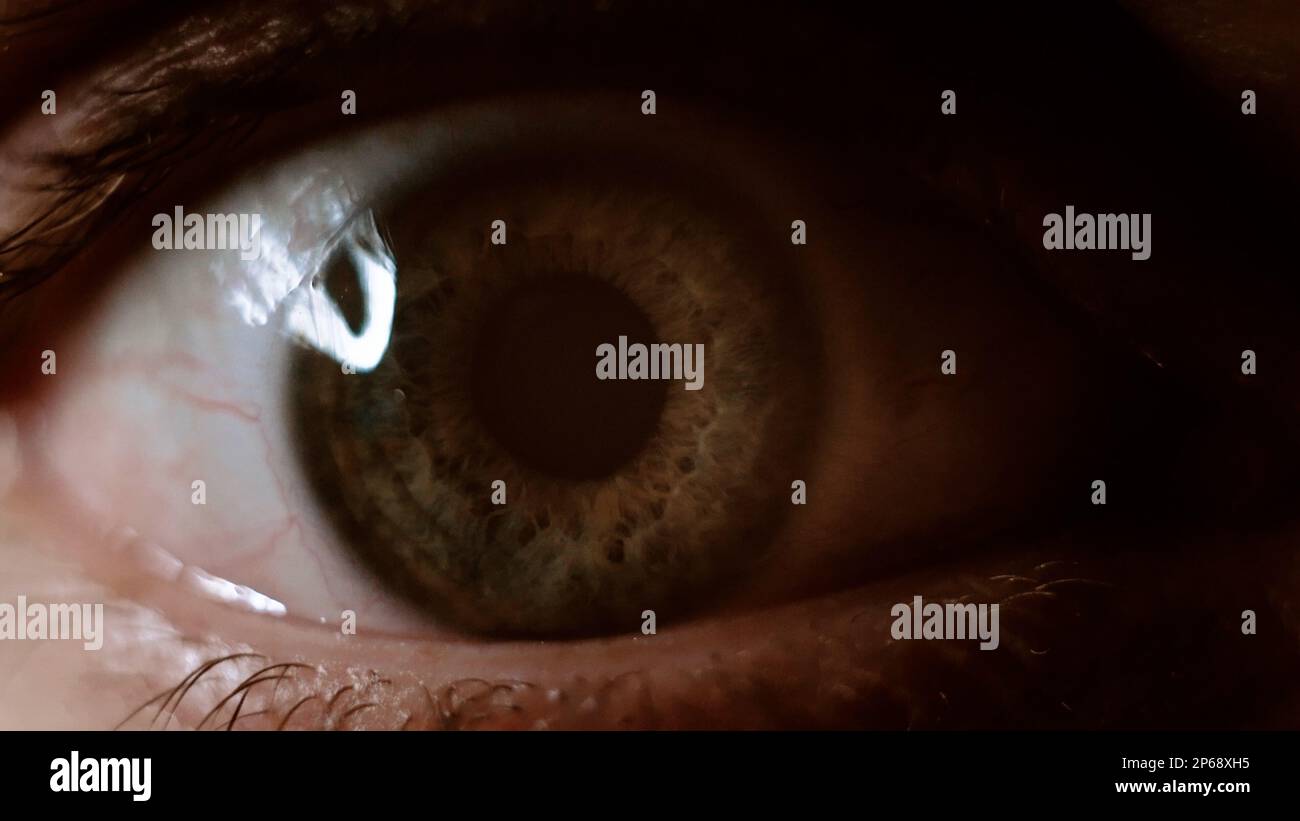 Contracting cornea hi-res stock photography and images - Alamy