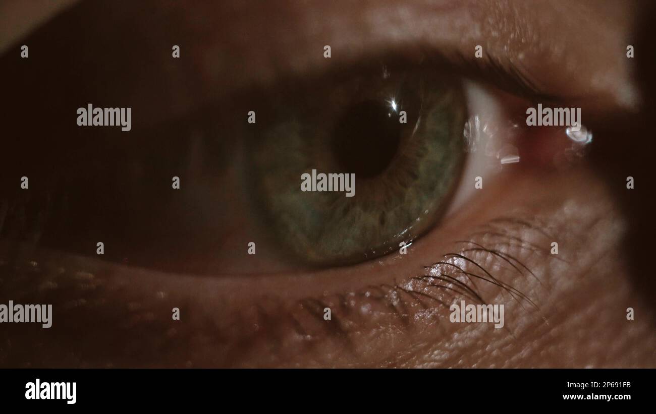 Green eye close-up with capillaries. The concept of ophthalmology and ...