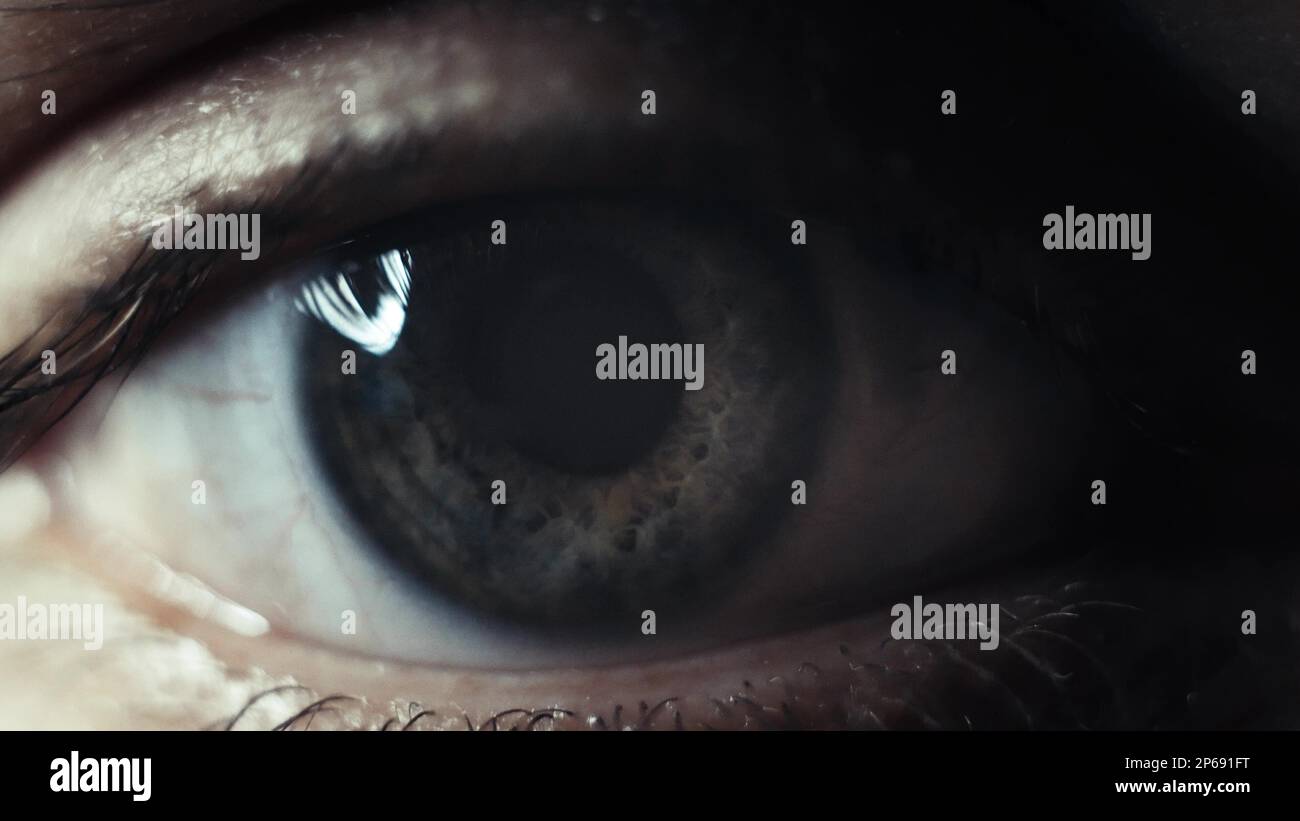 Green eye close-up with capillaries. The concept of ophthalmology and medicine. Extreme macro ...