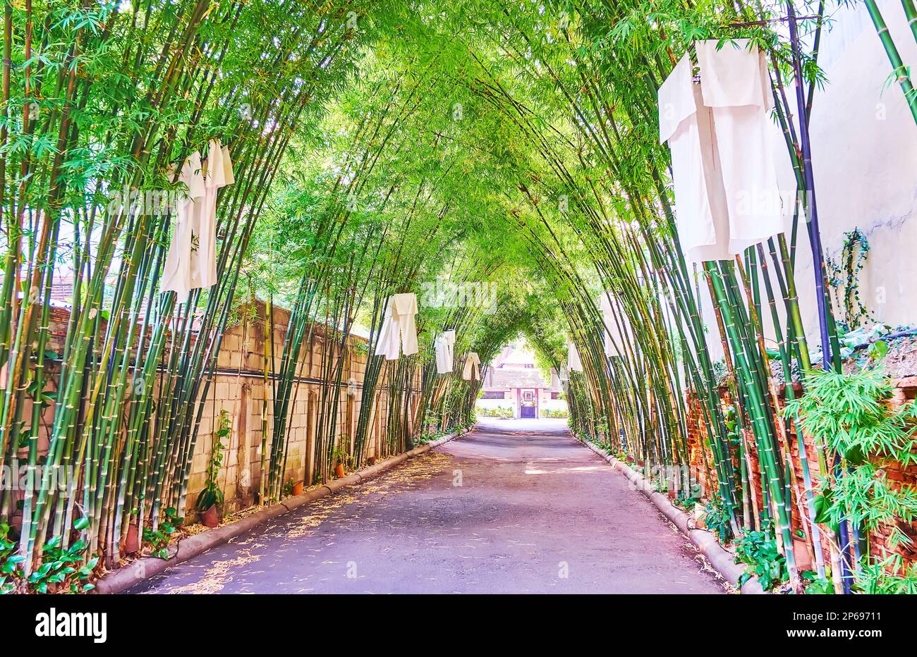 The narrow street is decorated with bamboo alleyway, providing the ...
