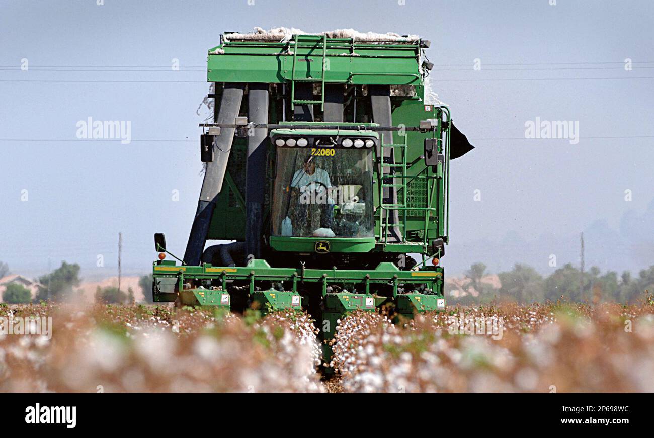 In this July 2012 photo, a cotton picker moves slowly down the rows of ...