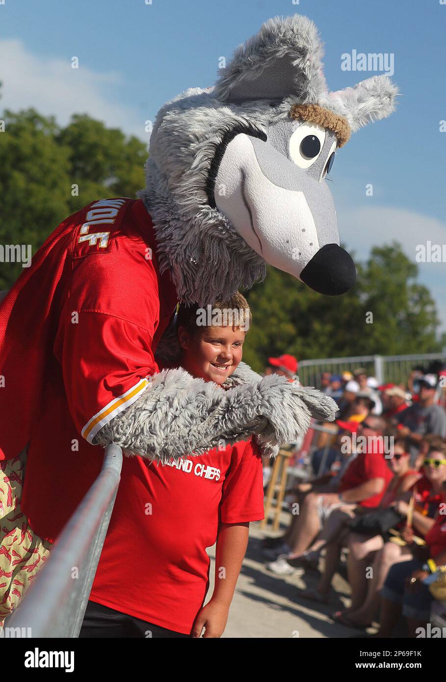 A Kansas City Chiefs fan poses for a photo with KC Wolf during training ...