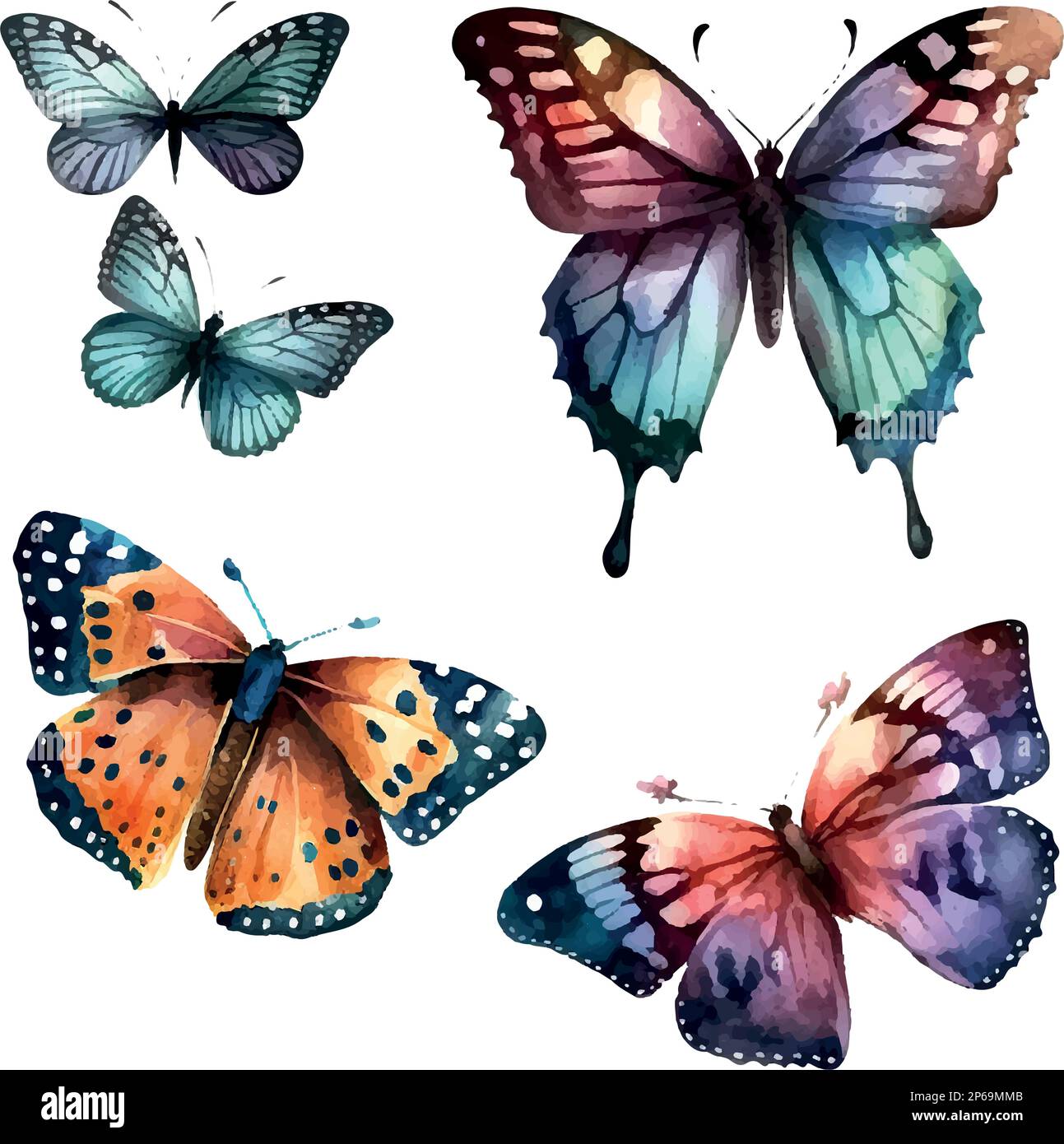 Collection of multicolored butterflies. Vector illustration Stock ...