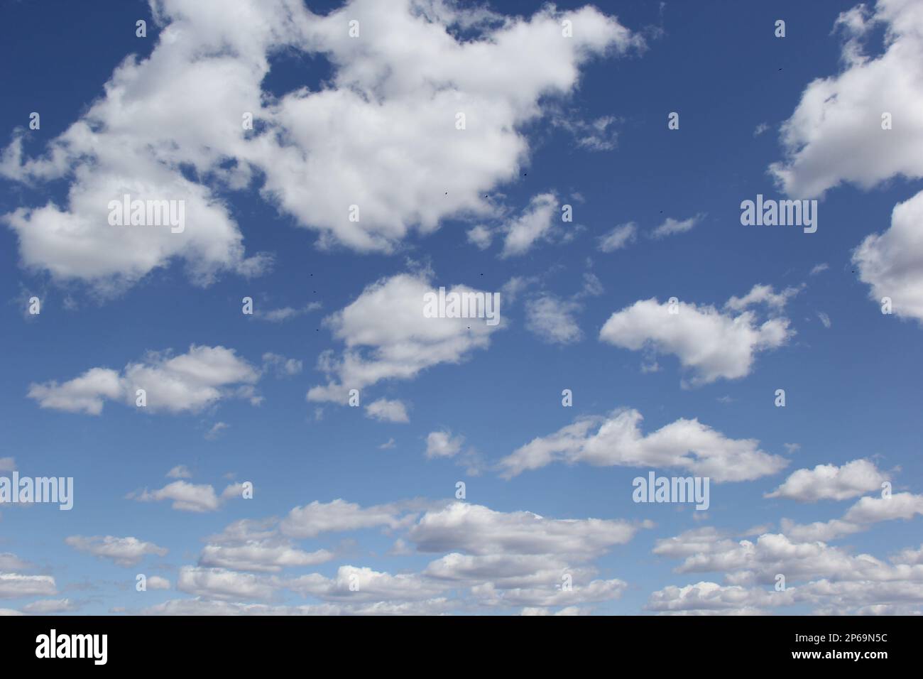 Day shapes hi-res stock photography and images - Alamy