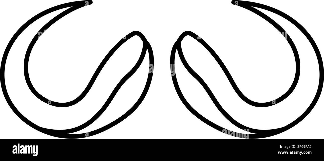 buffalo horn animal line icon vector illustration Stock Vector Image ...