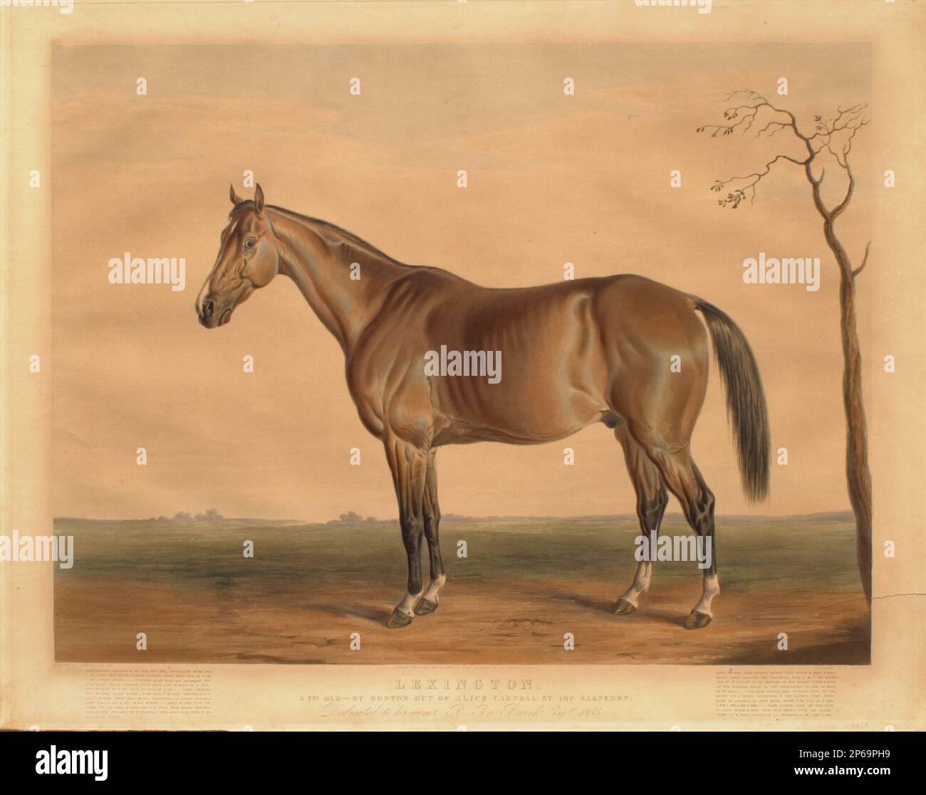 Henry A. Papprill, Lexington, 12/31/1855, Hand-colored aquatint on ...