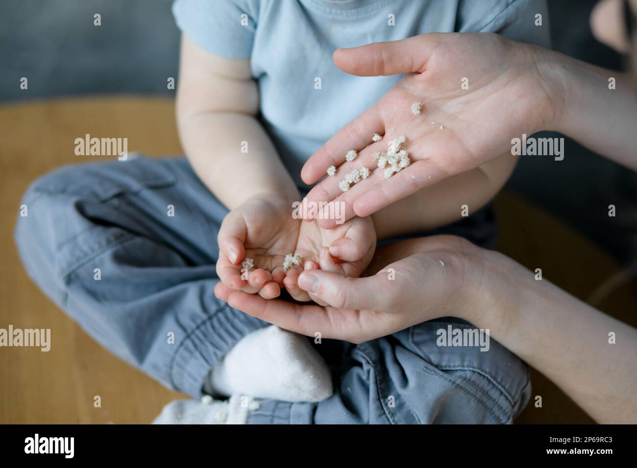 Women's hands pour white flower buds into children's palms. Development ...