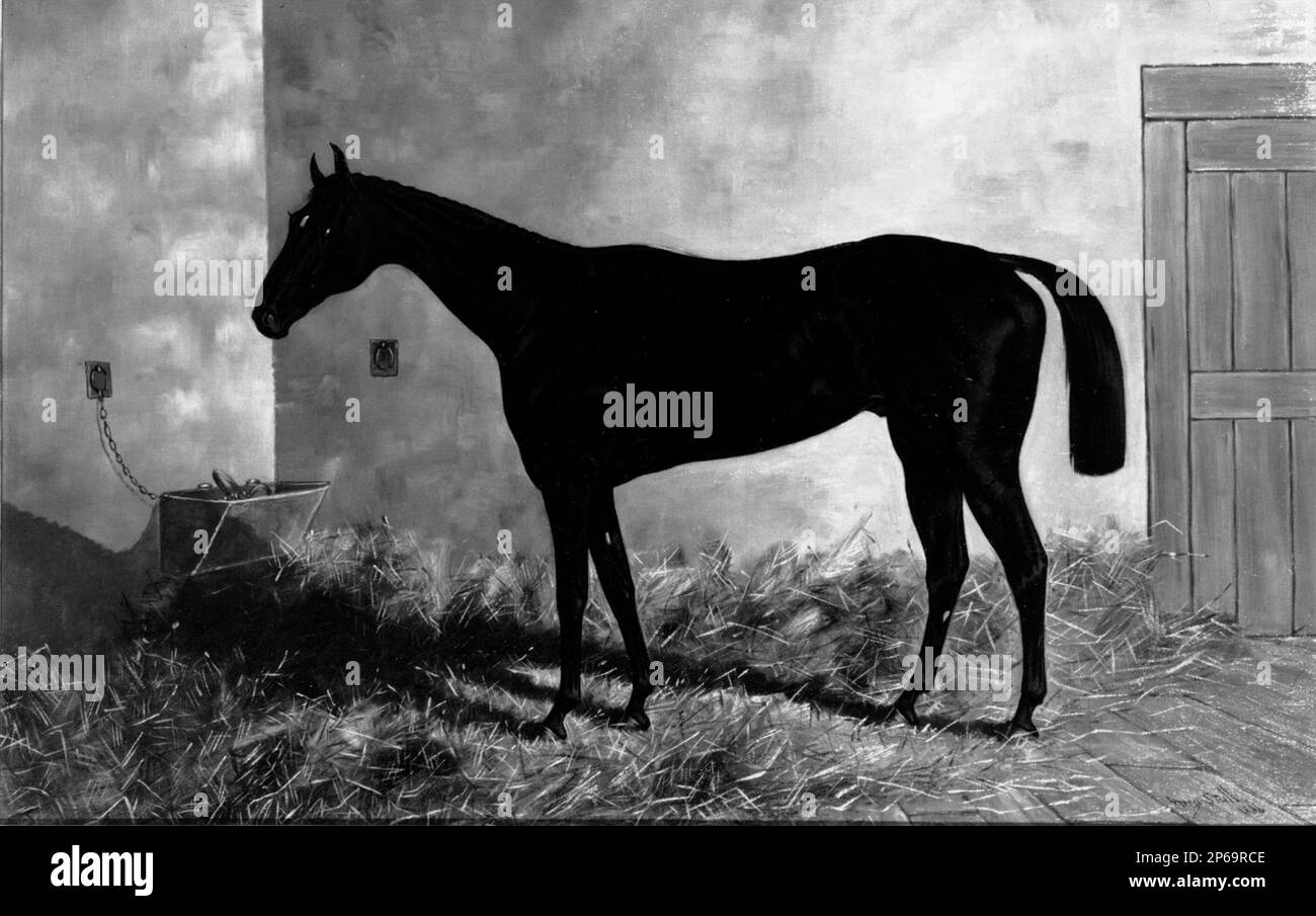 Stull hi-res stock photography and images - Alamy