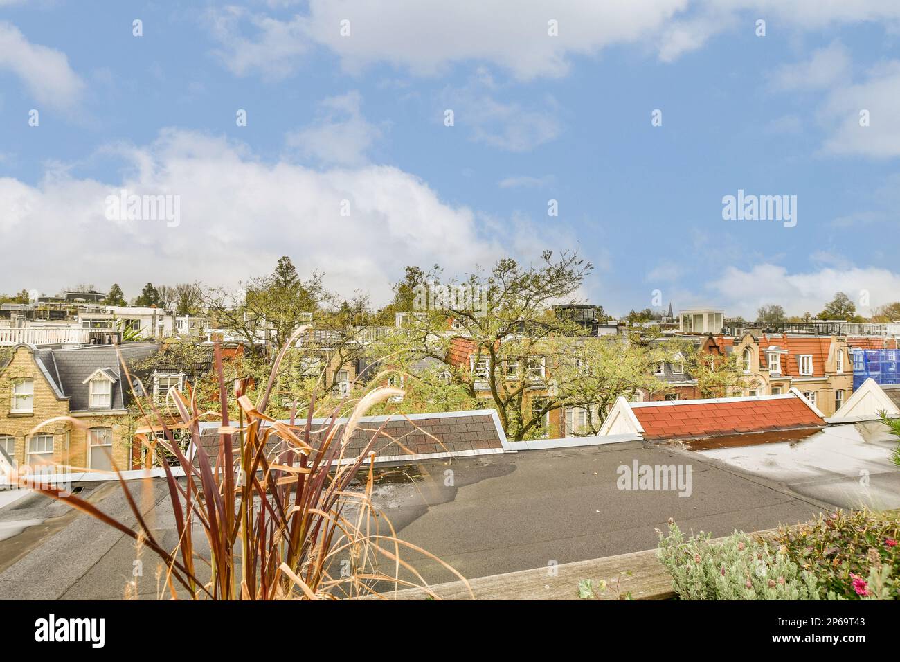 some houses and trees in the distance with a blue sky above them, as ...
