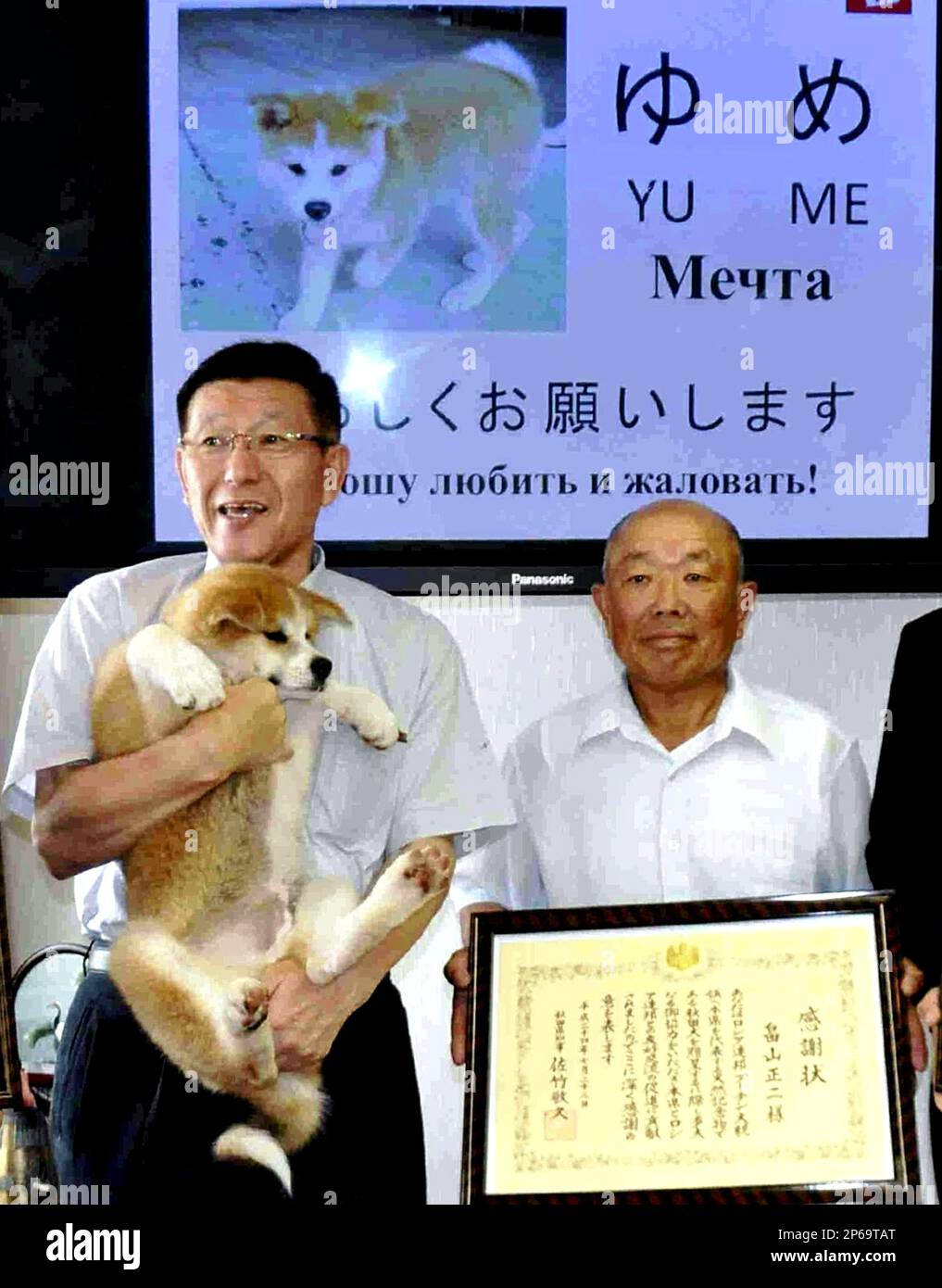 Akita Gov. Norihisa Satake receives Yume (dream), an Akita puppy from ...