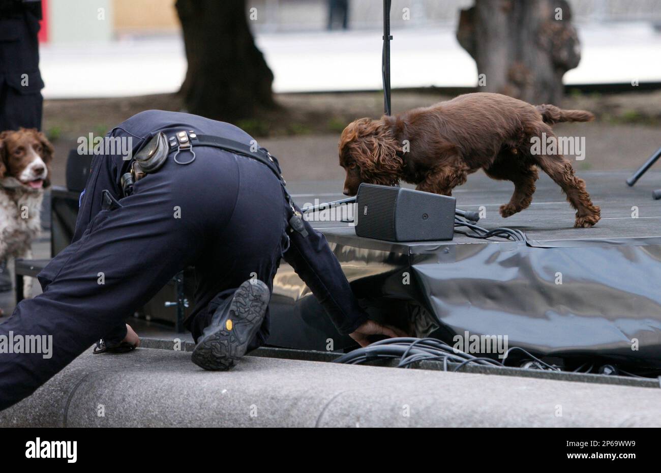 A Police officer with snifter dogs conducts a security check at one of ...