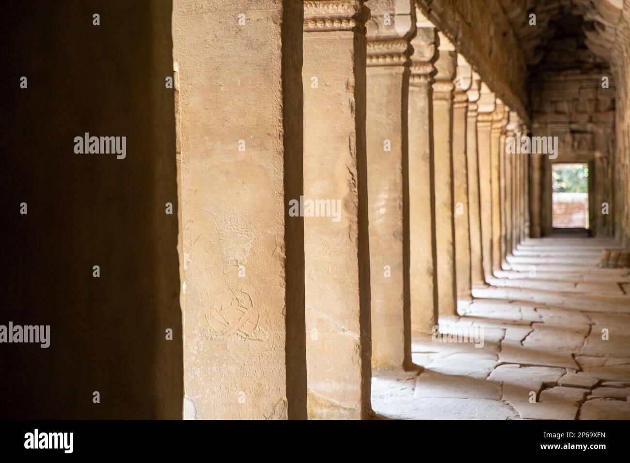 Hallway Inside Ta Prohm Temple in Cambodia Stock Photo - Alamy