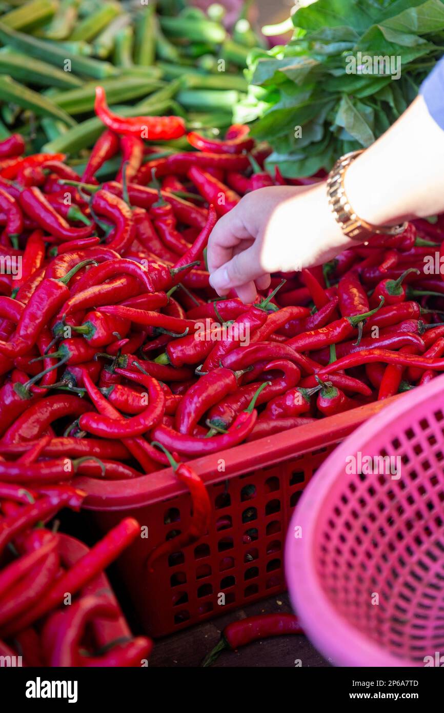 Picking woman not france spices hi-res stock photography and images - Alamy