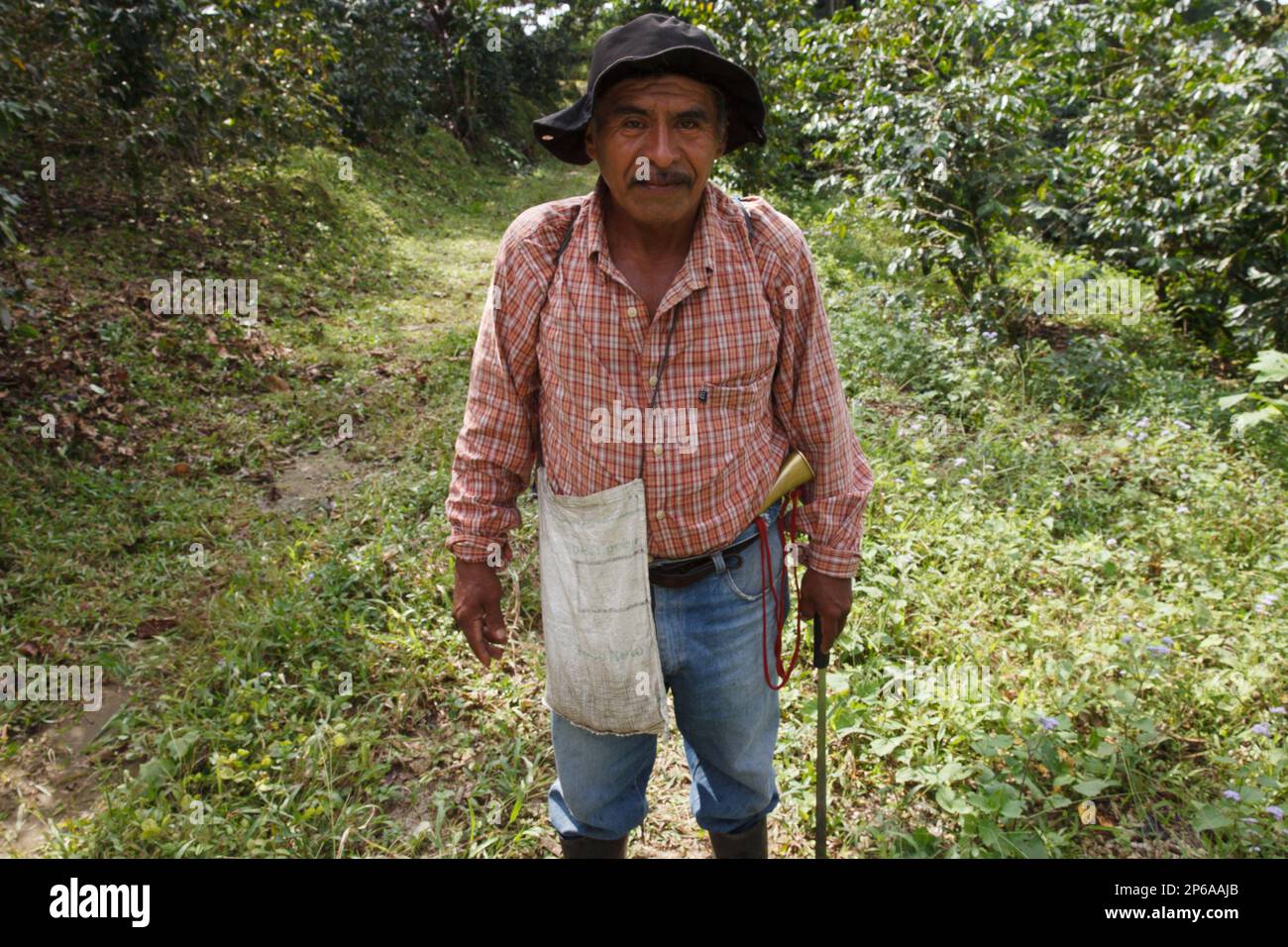 Mayan farm worker hi-res stock photography and images - Alamy